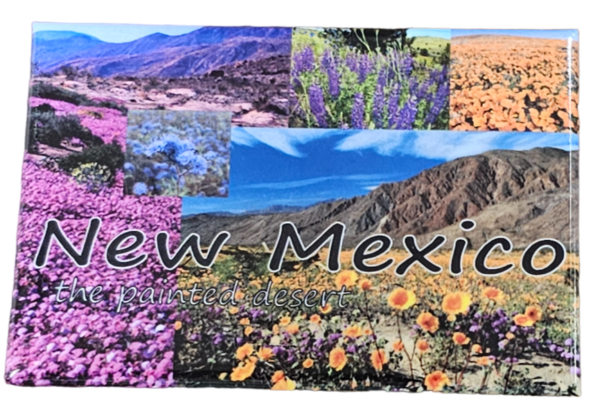 New Mexico Painted Desert Magnet – The New Mexico Shop